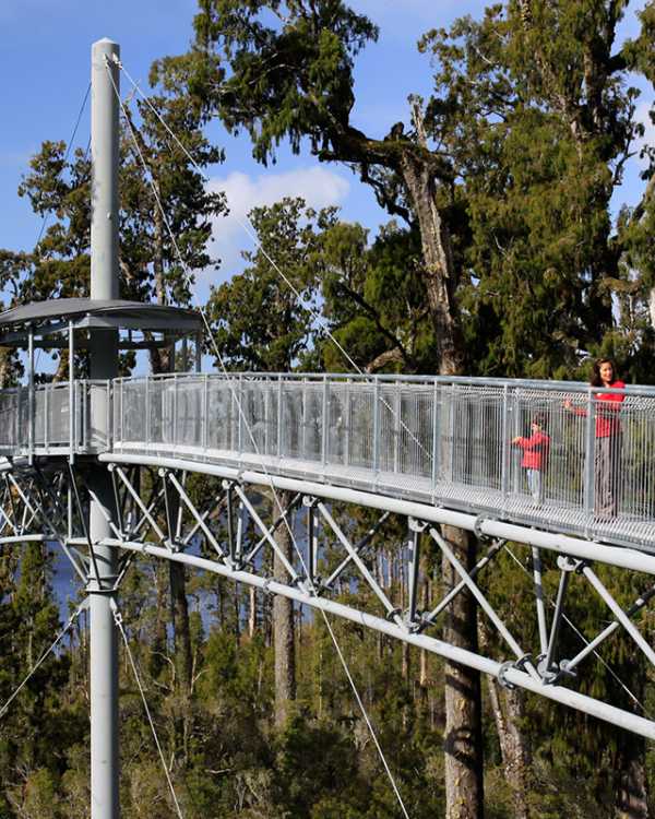 Treetop Walkways